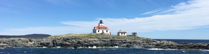 Bar Harbor Bay Cruises | Bar Harbor Whale Watch Co.
